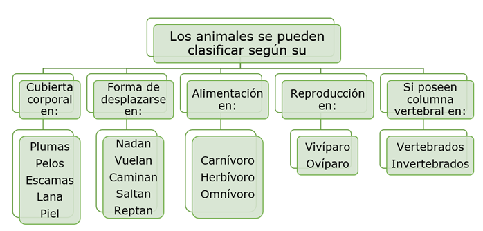 Miércoles 18 de noviembre