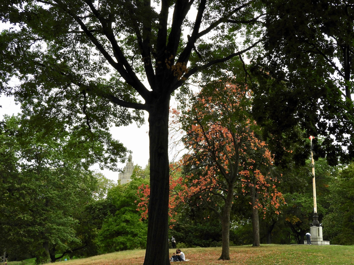 An Early Autumn Walk in Central Park: 2020 Edition