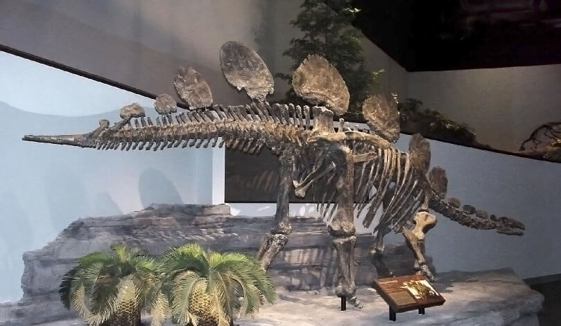 Mundo Pré-Histórico: Hesperossauro, o lagarto ocidental