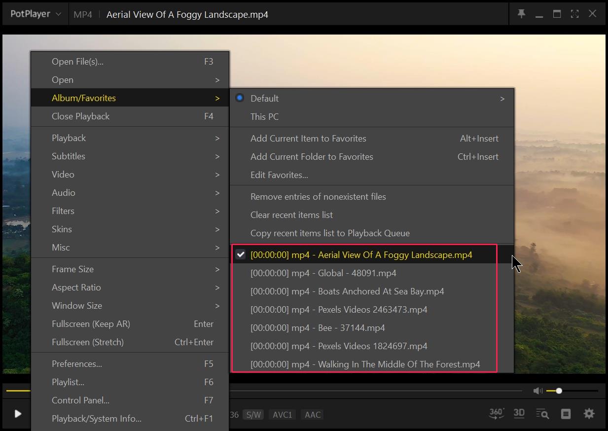 Potplayer General and Playback Settings Guide