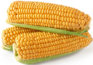 Fácil y rápido RECETAS: Beneficios del choclo o maiz