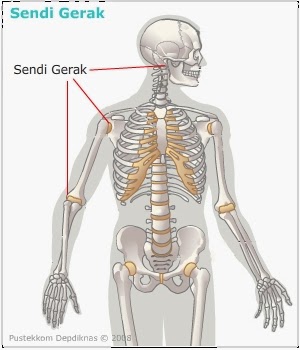 dalia wahyuni 9312: Januari 2014
