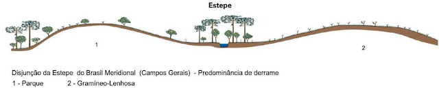 Onde as Plantas Crescem - Chernossolos