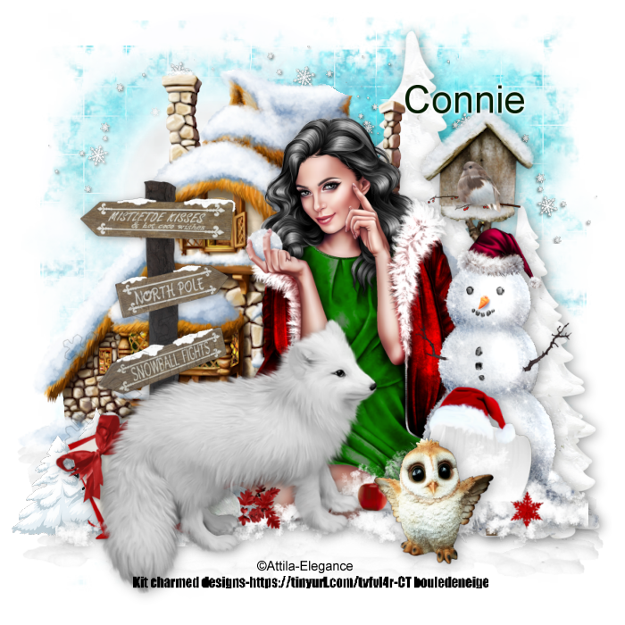 BOULEDENEIGE ET SES CT: CHARMED DESIGNS