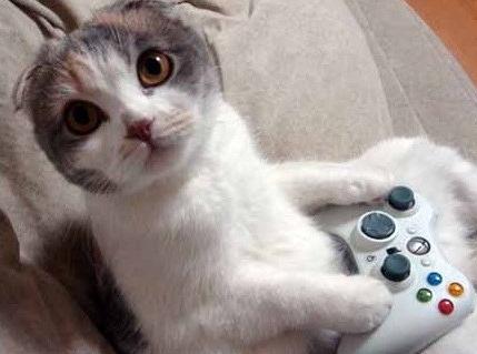 GAME PARODY: El gato con el mando de Xbox (humor grafico)