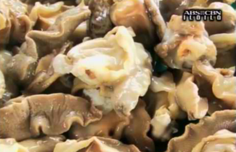 Filipino Food Chronicles: The snails (taklong) sisig of Capiz