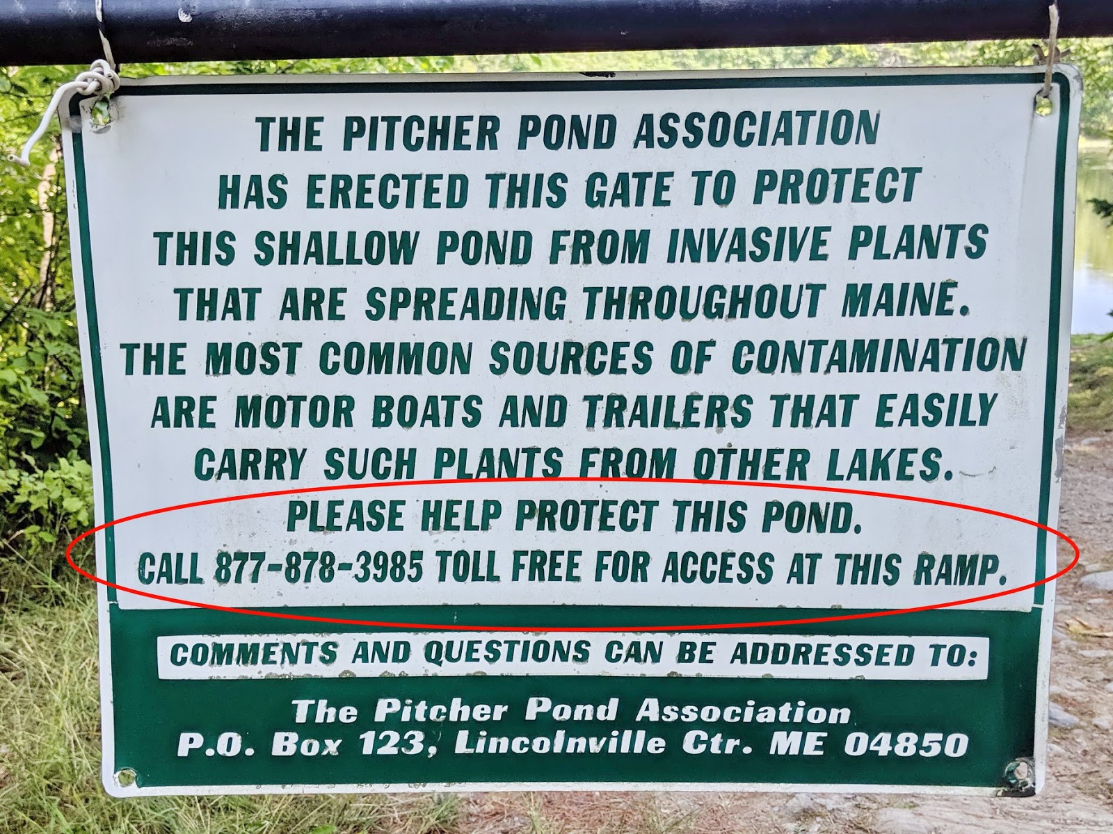 Recreational Kayaking in Maine: Pitcher Pond, Lincolnville