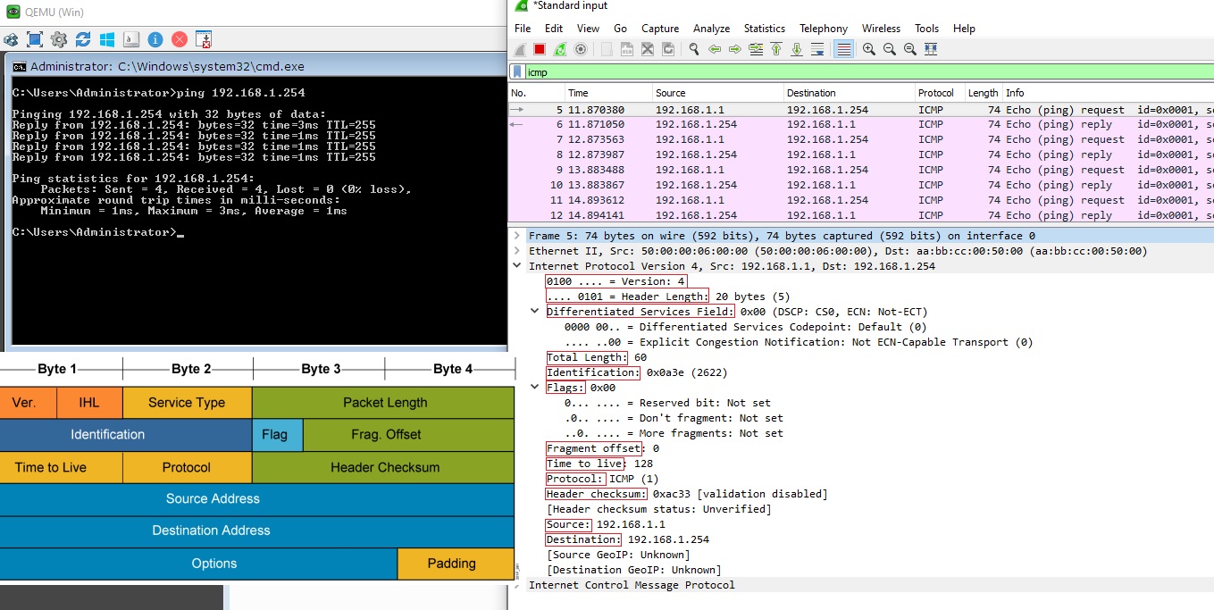Sharing & Linking: IPv4 Packet Header