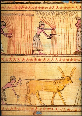 TheBibleNet: The Tale of the Two Brothers