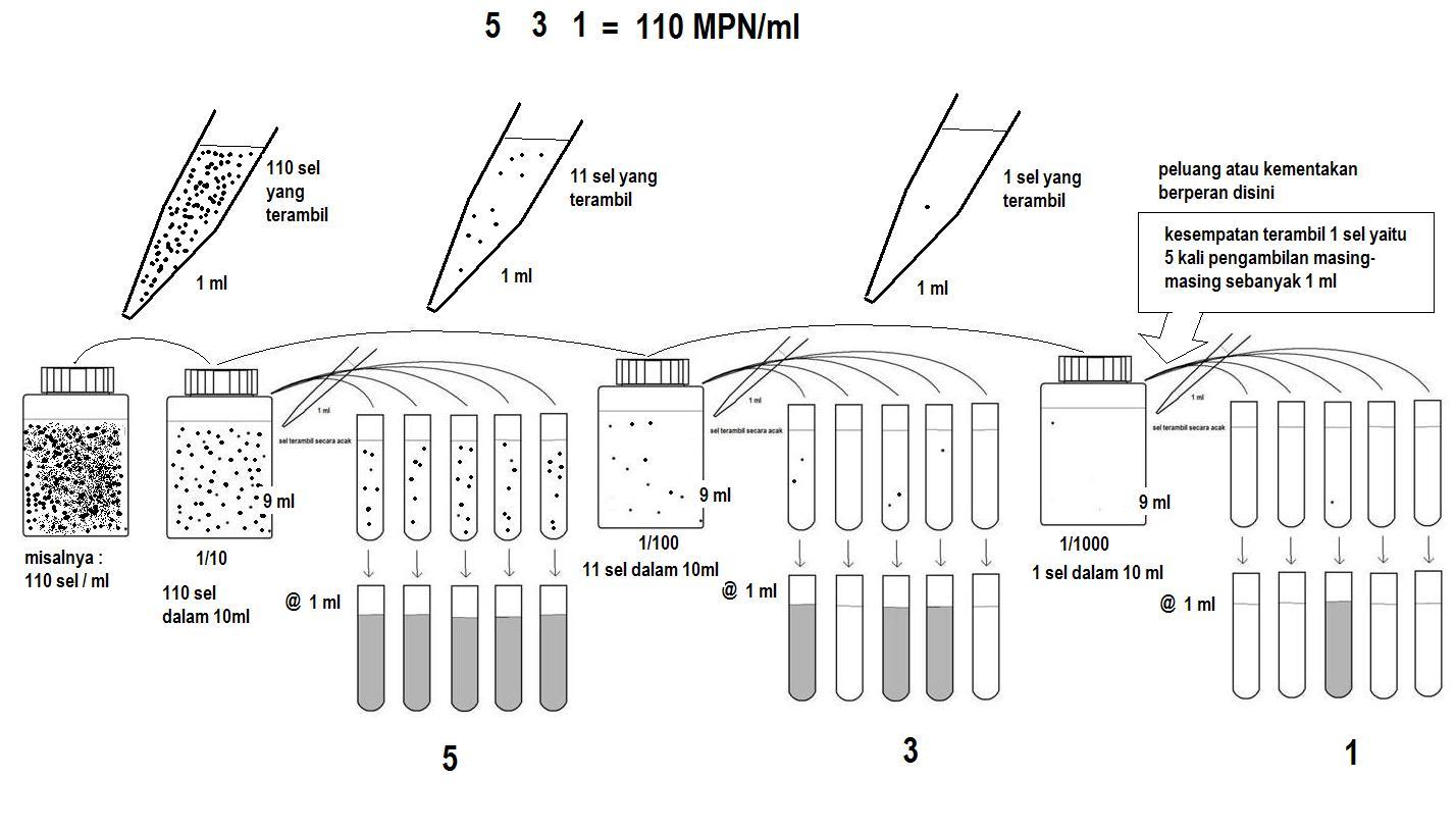 Zulfikar Firhadj: Prinsip yang digunakan dalam metode MPN