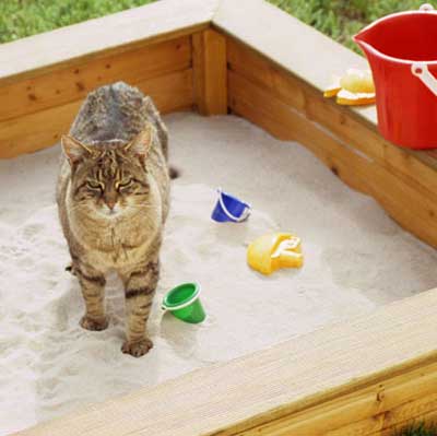 Cat's Eye View @ MPL: Playing Together in Life's Sandboxes