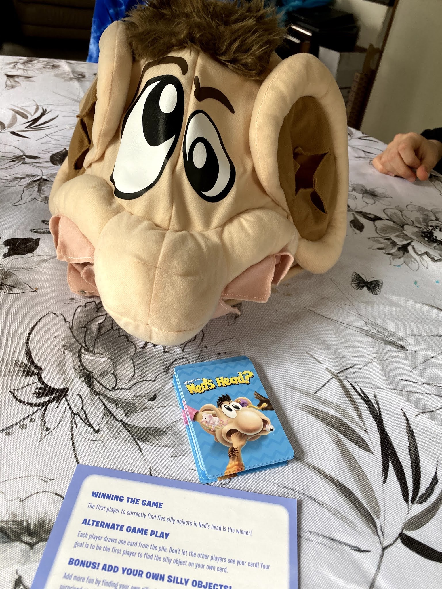 Maria's Space: Unplugged Play: What's In Ned's Head With Teens