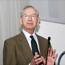 METODOLOGÍA DE LOS SISTEMAS BLANDOS (SUAVES).