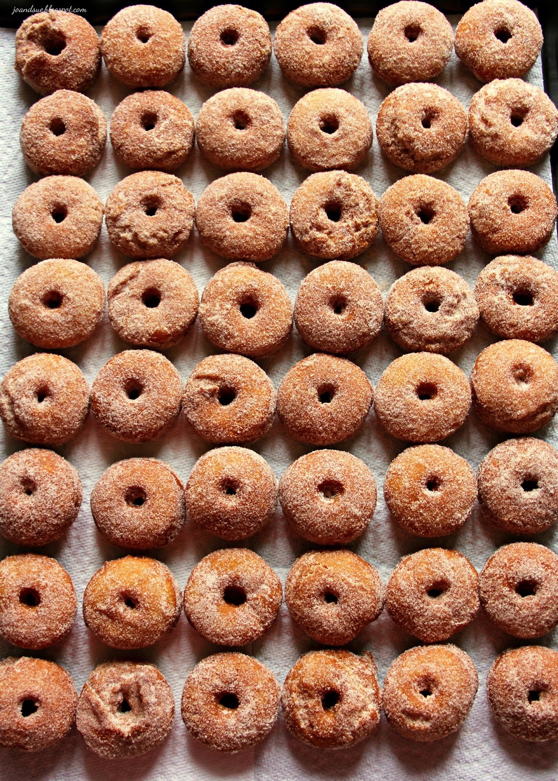 Jo and Sue: Mini Cinnamon Sugar Cake Donuts