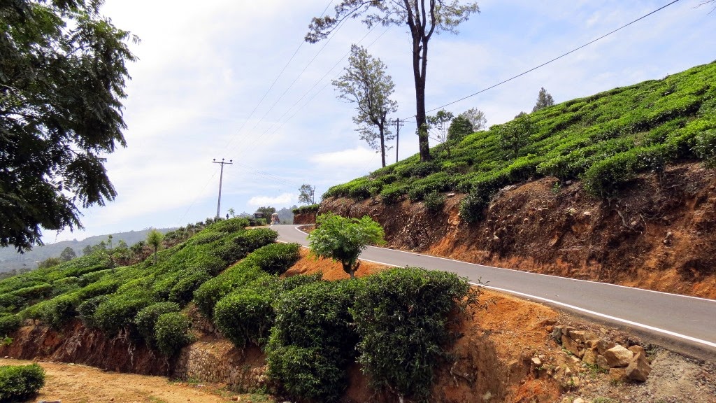 LakRoo Environmental Club: Mandaram Nuwara