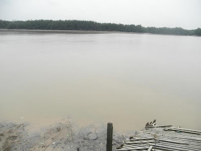 BERPETUALANG KE ACEH: Langat river from a point before it splits downriver
