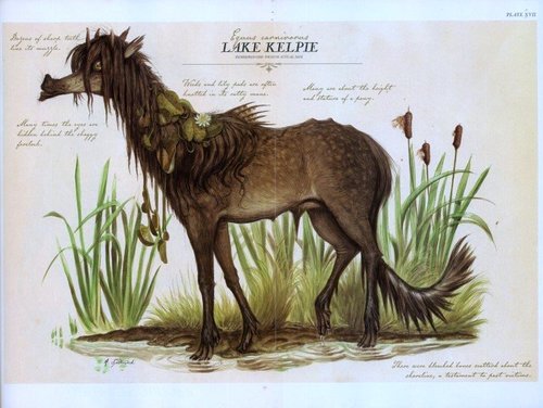 Lore Underground: Kelpies: All the pretty little horses