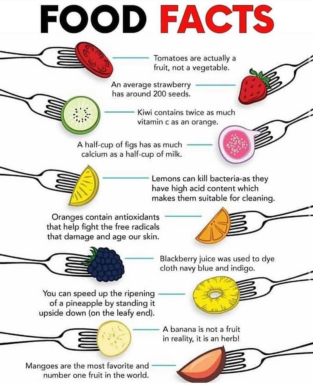 Best healthy foods for your body to eat every day. Amazing facts about ...