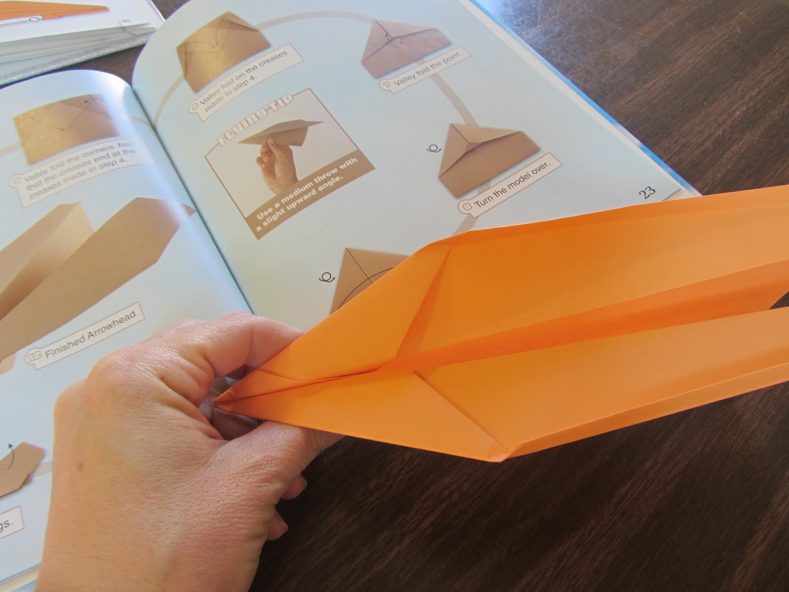 The Unlikely Homeschool: The Glorious Flight: A Unit Study