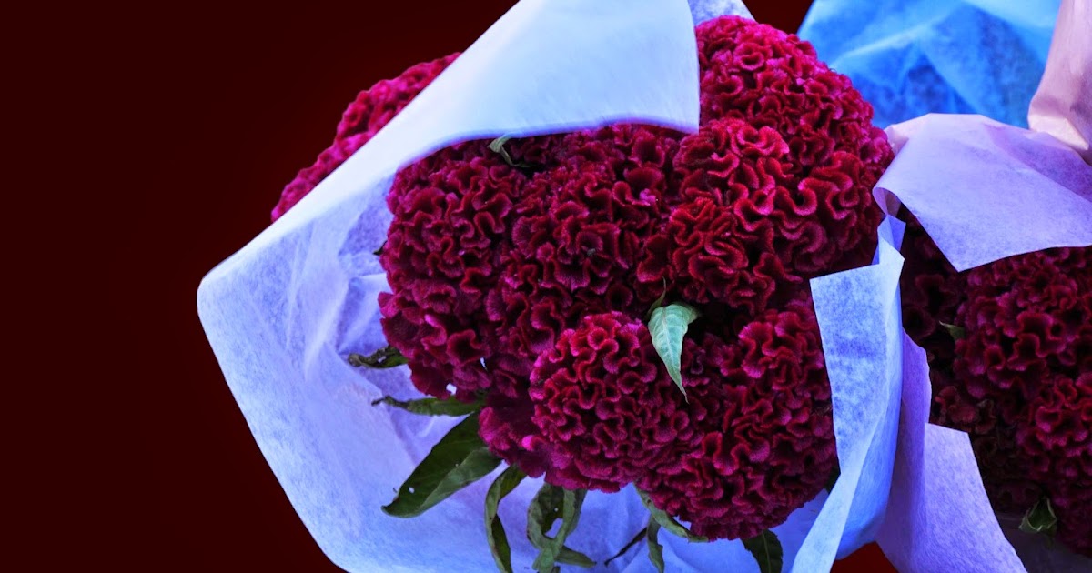 Poem 435 by Emily Dickinson