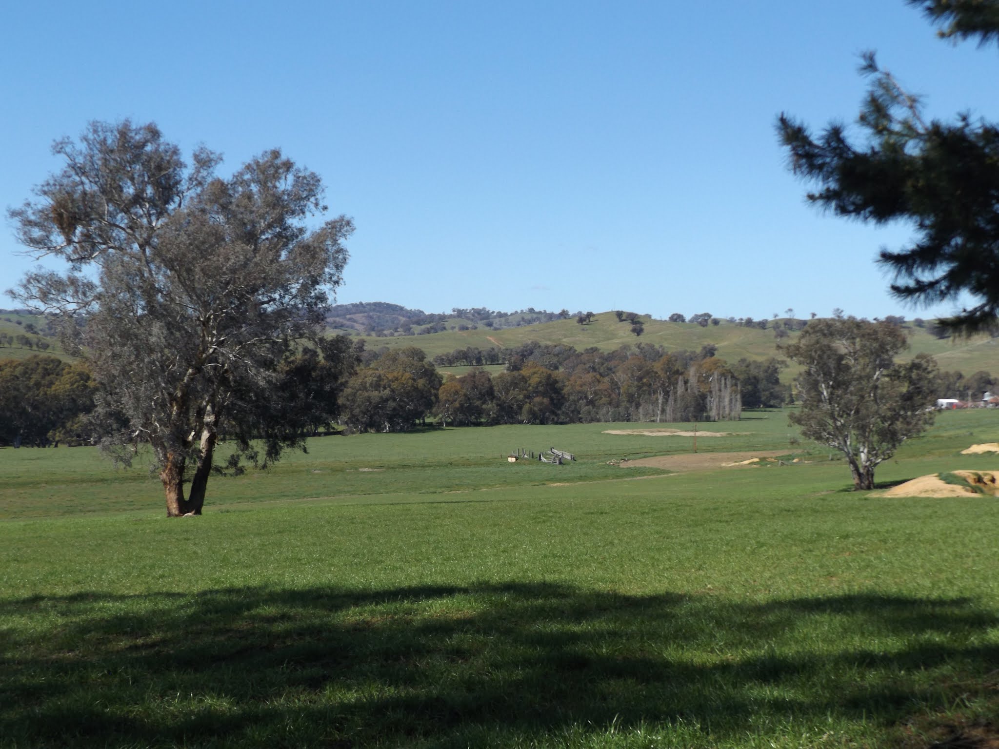 Building Wagga: A visit to Humula