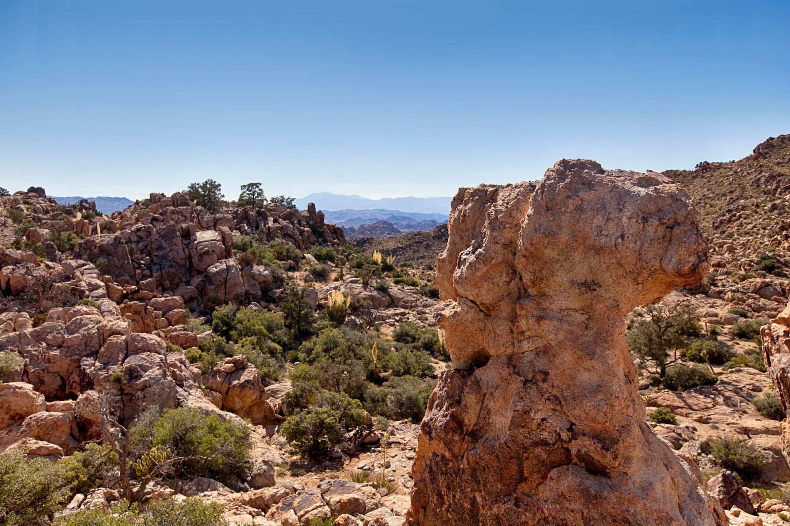 Spare Parts and Pics: Wonderland Overlook