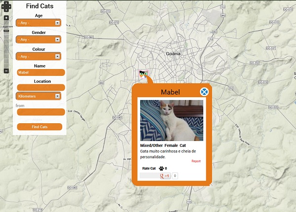 I/O Gatos: Cat Map: o mapa dos gatos do mundo todo