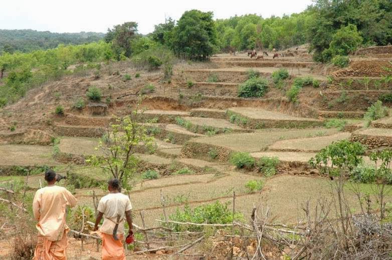 A. A. Shah's IAS Institute, Mumbai: CONTOUR BUNDING
