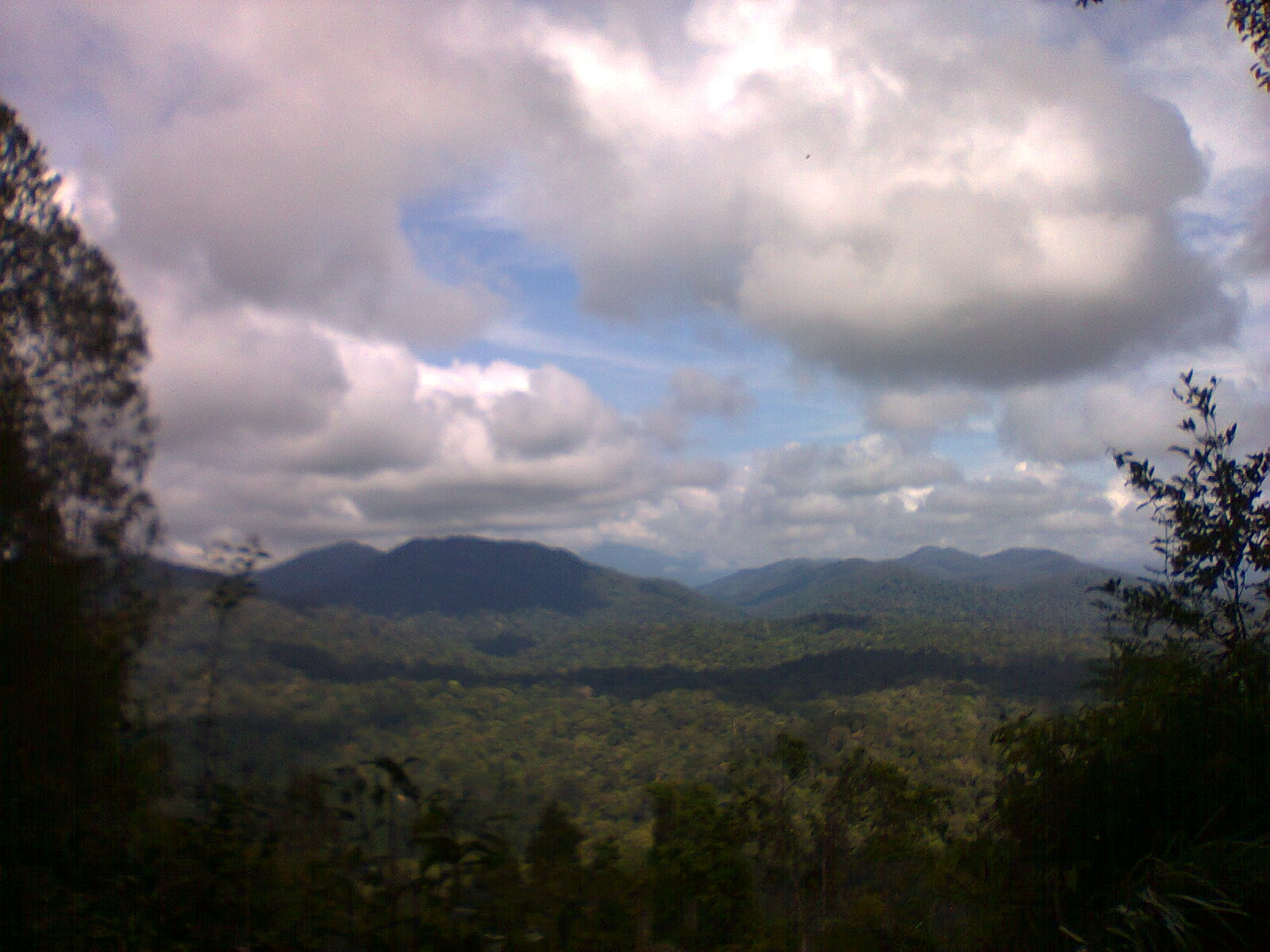 akustatik: explore the nature to TAMAN NEGARA Pahang
