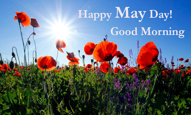 Top 10 Good Morning Happy May Day Images greeting Pictures,Photos for ...
