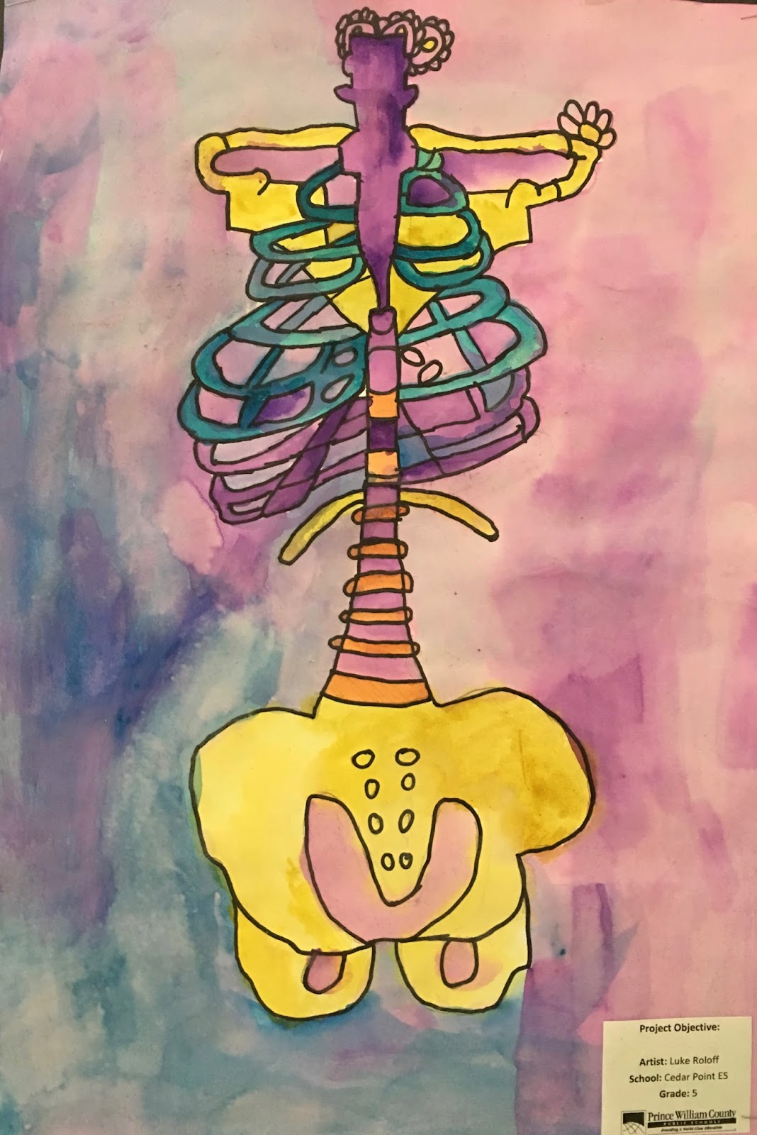 Art Room Blog: 5th grade Skeleton Torso Project...