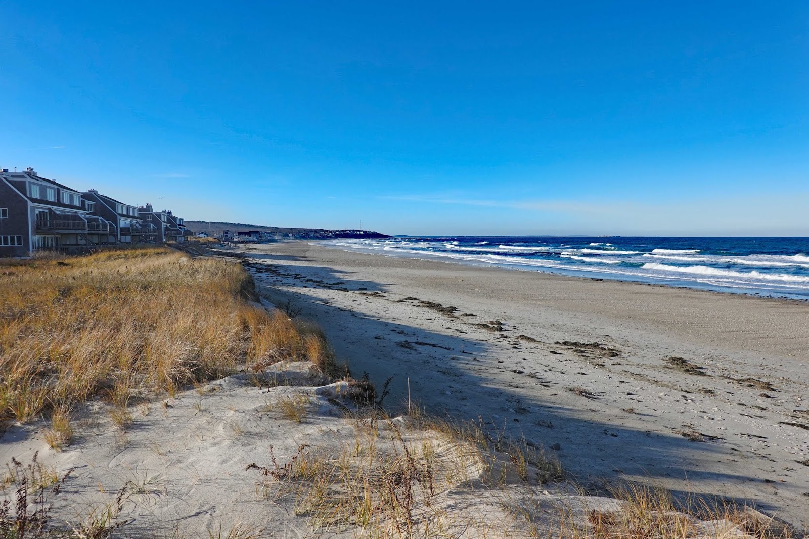 Joe's Retirement Blog: Late Fall, White Horse Beach, Manomet, Plymouth ...