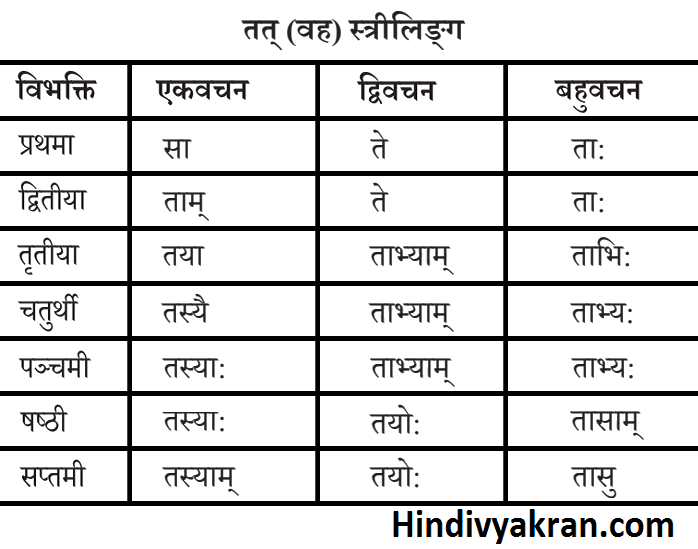 तत्/तद् शब्द रूप स्त्रीलिंग संस्कृत में – Tat Shabd Roop Striling In ...