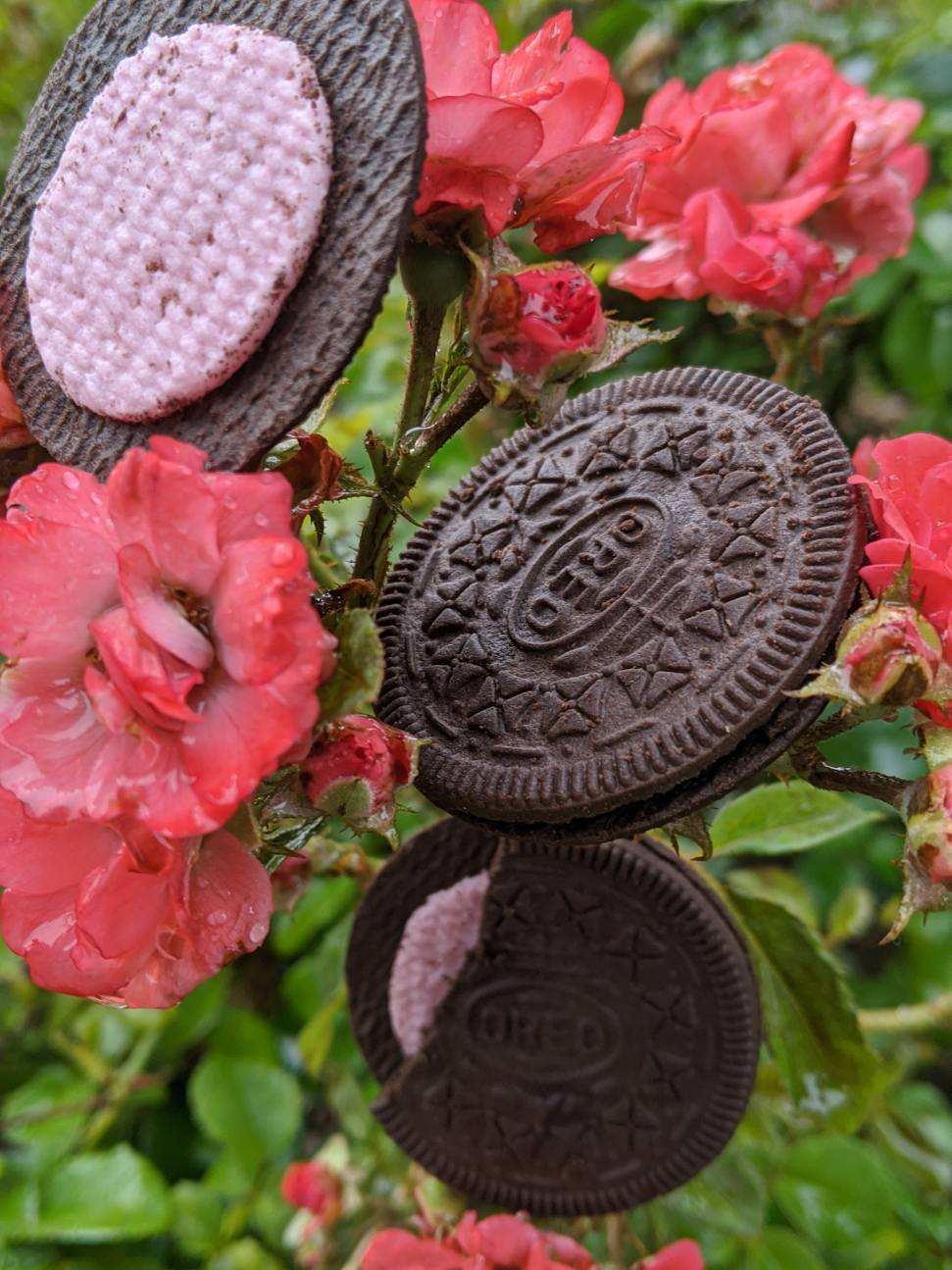 International Edition: Sakura and Matcha Oreos
