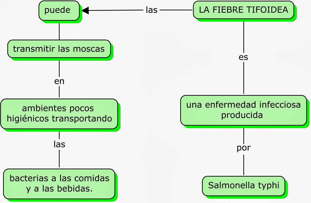 El Blog de Acebedo: La fiebre tifoidea, también denominada fiebre ...