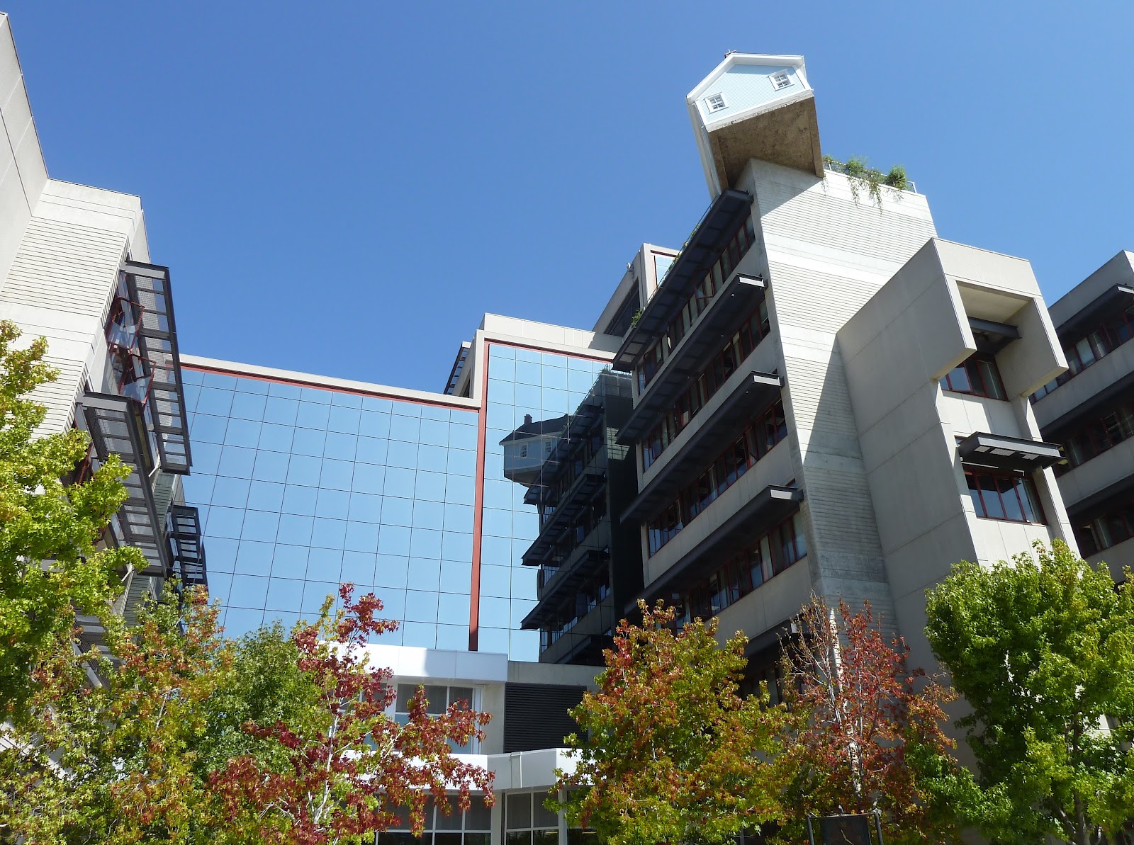 Observations: Fallen Star at UCSD