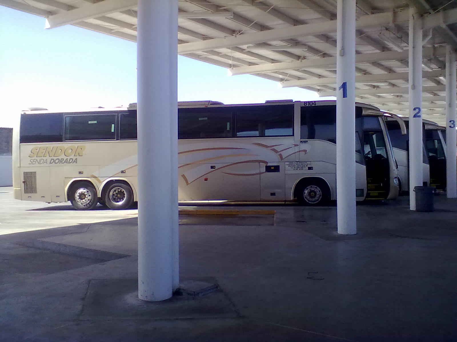 BUSÓPOLIS: SENDOR SENDA DORADA