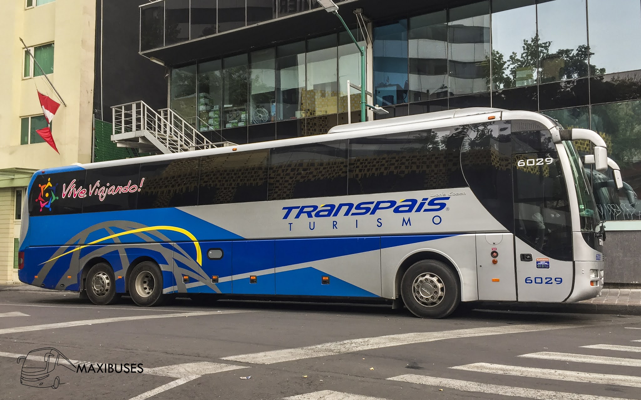 MAXIBUSES: TRANSPAÍS TURISMO (TURISMO)