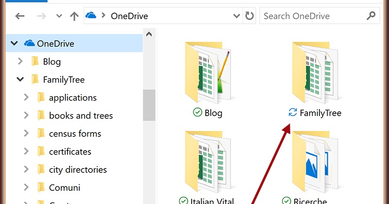 Fortify Your Family Tree: How to Back Up Your Family Tree Files ...