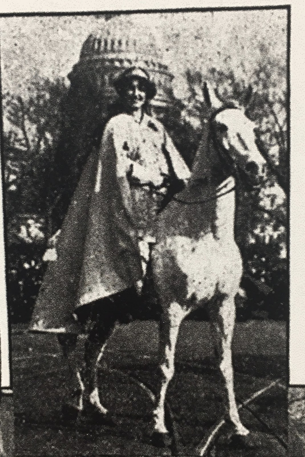 Vintage Grace: The Lucy Burns Museum- Part One