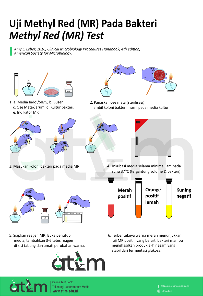 Uji Methyl Red (MR) Pada Bakteri - Methyl Red Test — Online Text Book ATLM