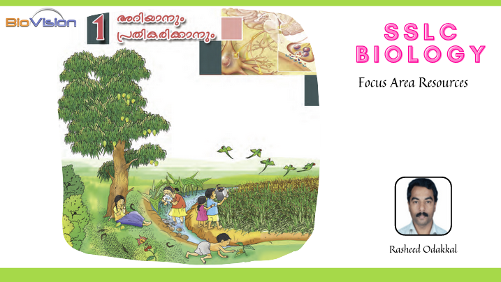 Class 10 Biology - Chapter 1 Focus Area Resources : Notes, Presentation ...