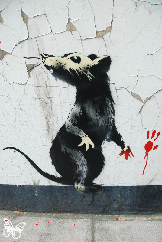 Banksy or Fanksy - Vote Here: The newest banksy rats