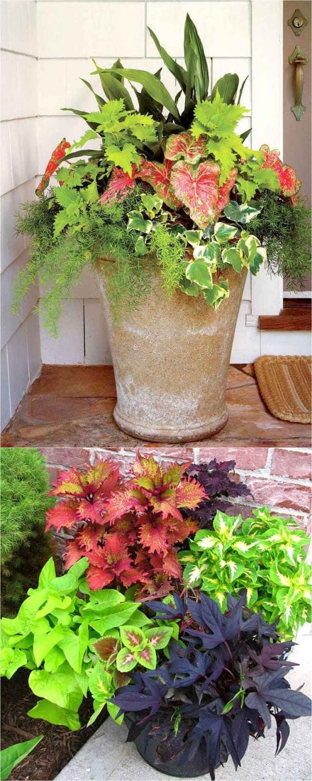 85 Fresh and Easy Summer Container Garden Flowers Ideas - Home Decor Gayam