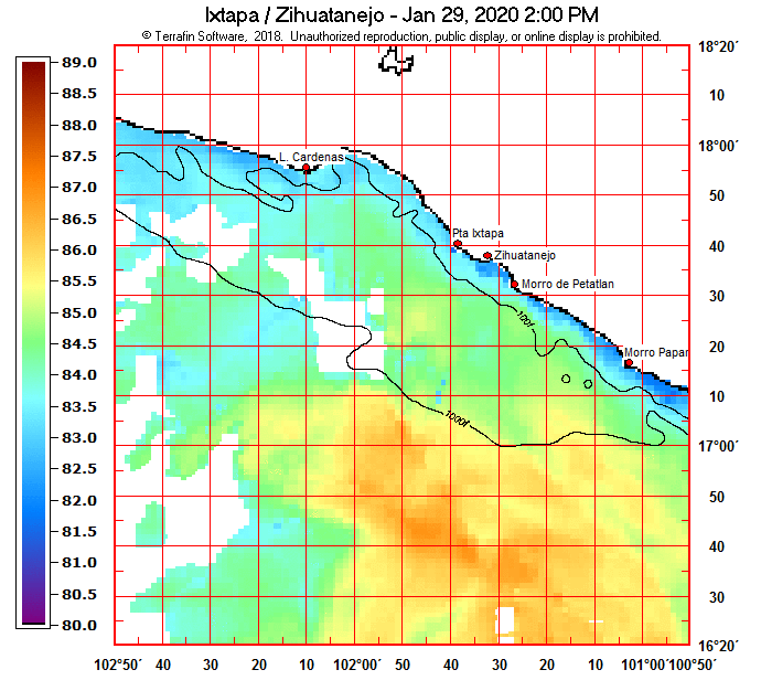 Z Fish Report (1/30/20)