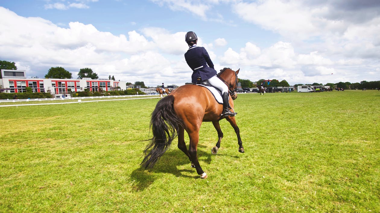 12 Tips For A Better Riding Position - The Rider's Reins