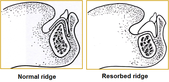 Dentistry and Medicine: Concept of Neutral Zone