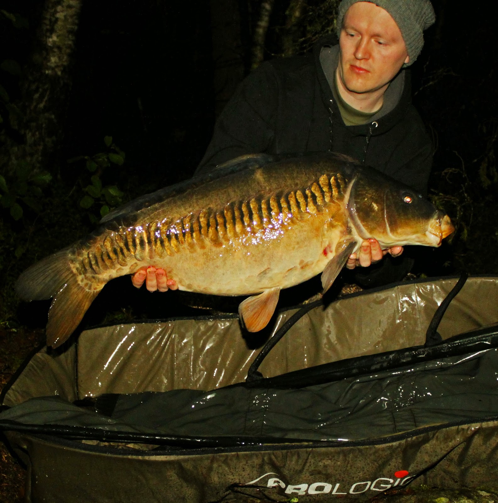Carp Of The Thousand Lakes: April 2015