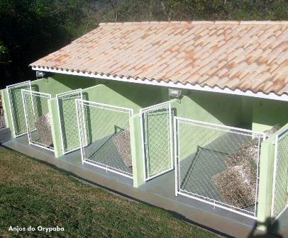 Diário de um canil: Como é o canil!