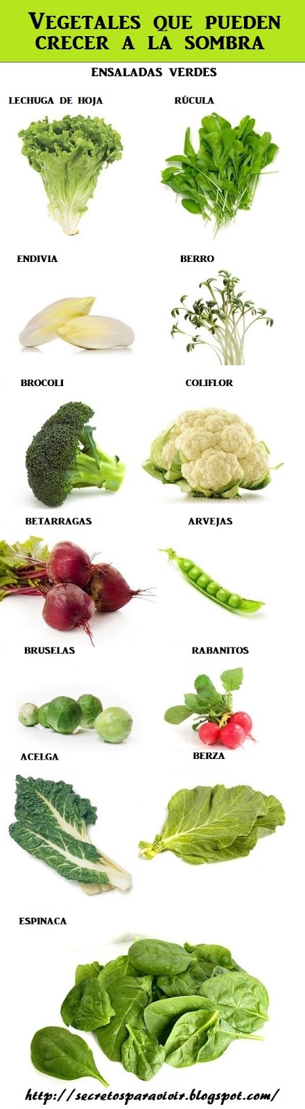 SECRETOS PARA VIVIR MEJOR: CULTIVA TUS PROPIOS VEGETALES